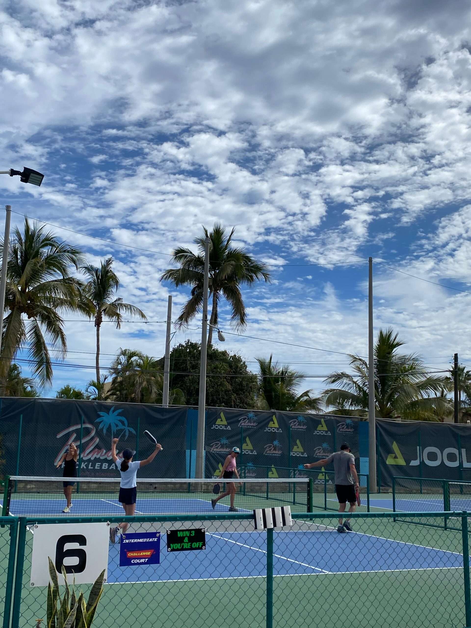 Pickleball Tournaments Near Me - Palmas Pickleball Baja Mexico
